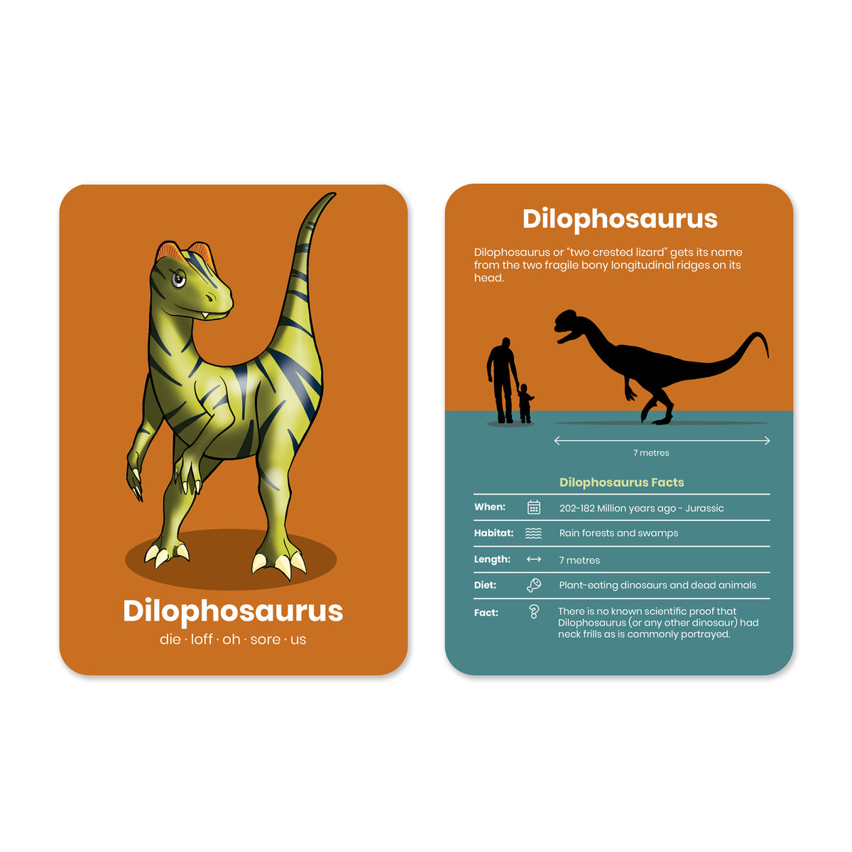 Dinosaur Activity Flashcards | Anilas UK