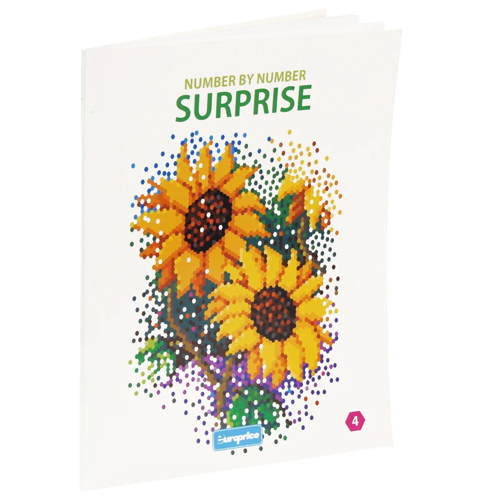 Number by Number Surprise 4 Book 48pg 4-6yrs – Anilas UK